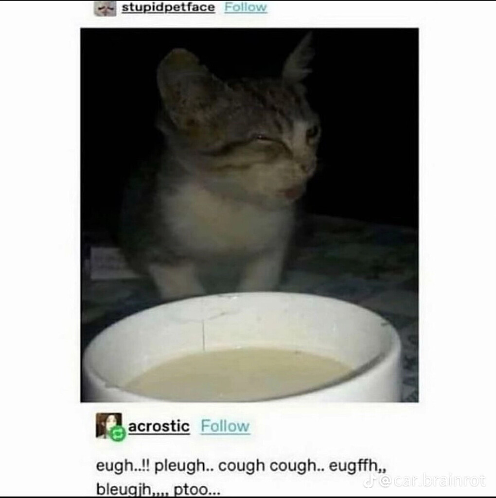 The m2c grumpy effect - Discussion - CM-SS13 - Forums